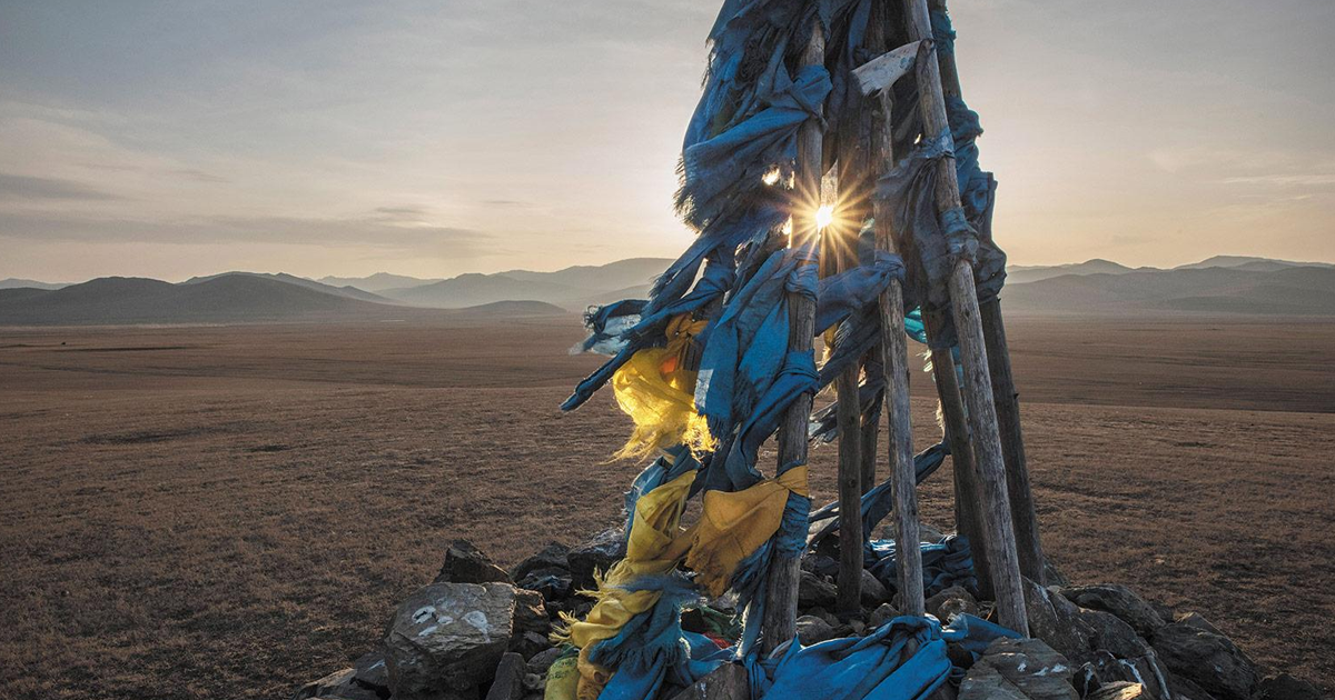 Cosmic Clues: Decoding the Shamanic Landscape of Spiritual Signs and ...